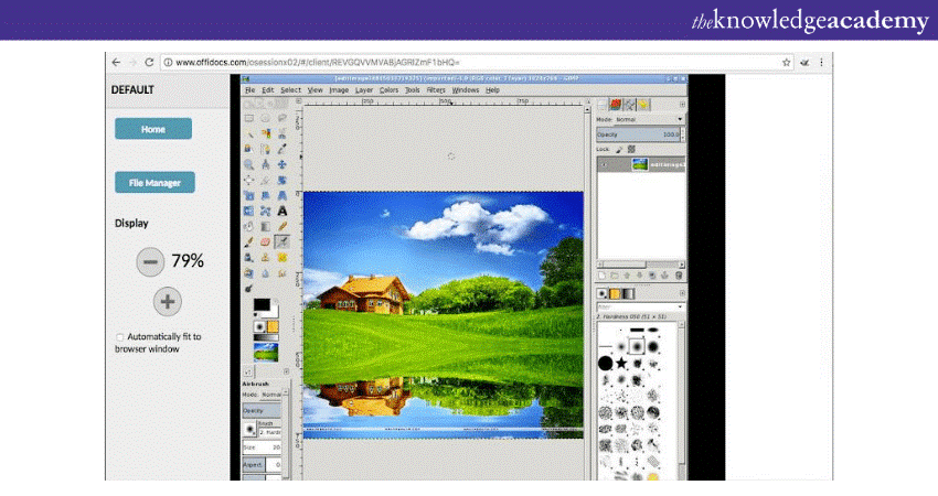 10+ Best GIMP Alternatives That You can USe